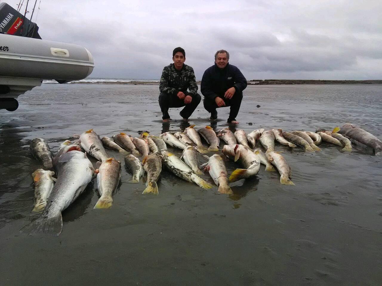 La pesca del día - Con todo gusto - Gastronomía regional